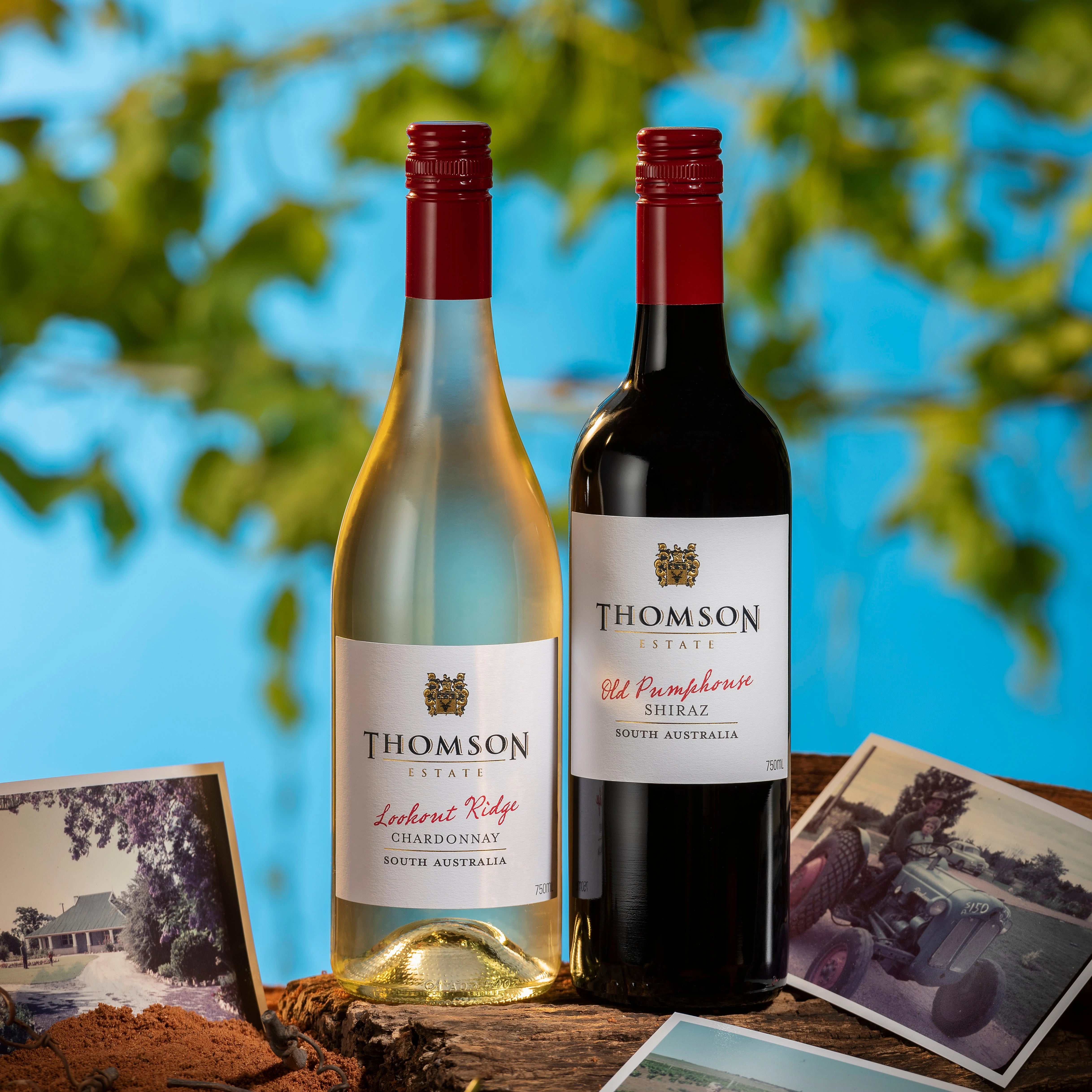 Thomson Estate – Byrne Vineyards