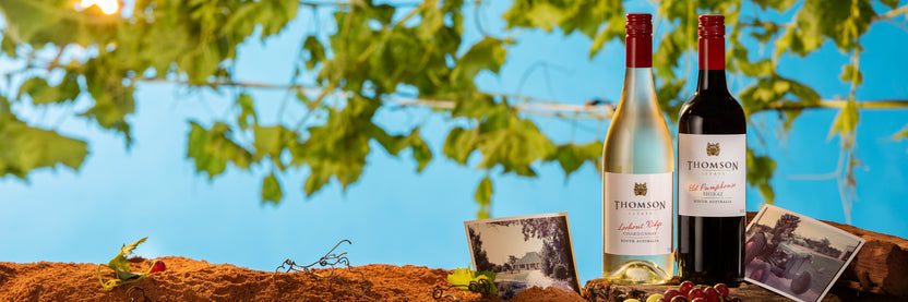 Thomson Estate – Byrne Vineyards